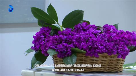გაზაფხული და დედა” საღამო რომელიც ომში დაღუპული მეომრების დედებს
