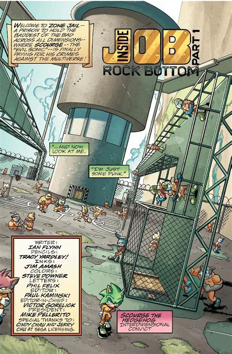 Scourge The Hedgehog In Prison Archie Sonic Universe Issue 29 R Sonicthehedgehog