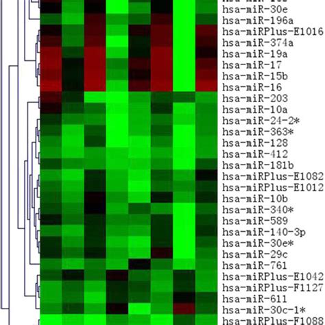 Hierarchical Cluster Tree Of Representation Mirnas In Cell Lines Before