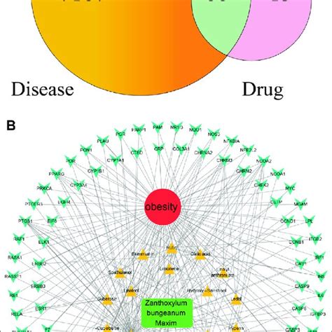 A Overlapping Gene Symbols Between The Disease And Zanthoxylum