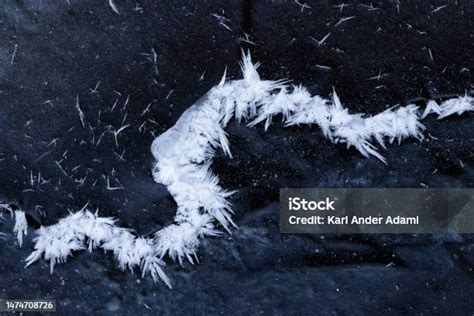 에스토니아의 추운 밤을 보낸 후 얼어붙은 강에 있는 벌레 같은 얼음 바늘 모양 0명에 대한 스톡 사진 및 기타 이미지 0명 1월 강 Istock