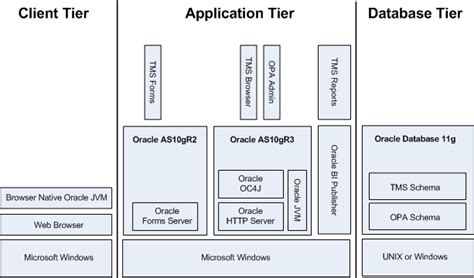 Preparing To Install Oracle Thesaurus Management System