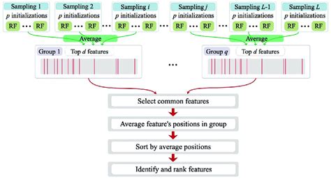 The Procedure For Calculation Of Feature Importances From Multiple Rfs Download Scientific