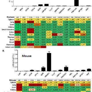 TLR Accessory Molecular MRNA Expression In Adult Human And Mouse