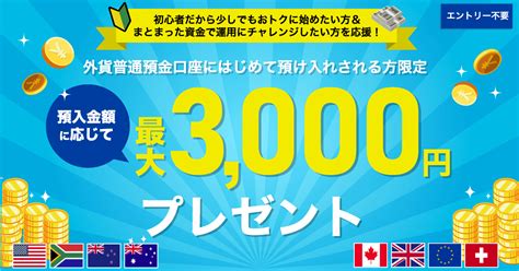 米国政策金利が利上げしたけれど、米ドル外貨預金の金利ってどうなの？ マネー探検隊が行く！ 投資から節約、生活の知恵まで幅広く扱うマネーサイト