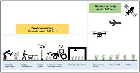 Frontiers Field Phenotyping For African Crops Overview And Perspectives
