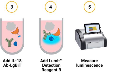 Lumit® Active Il 18 Human Immunoassay