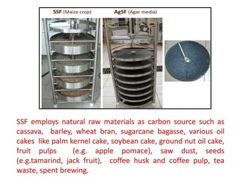 Fermentationtechnology Biotech Ppt