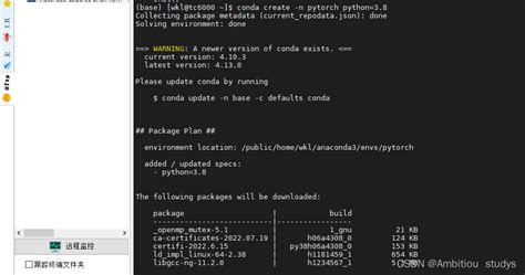 Mobaxterm Anaconda Pytoch