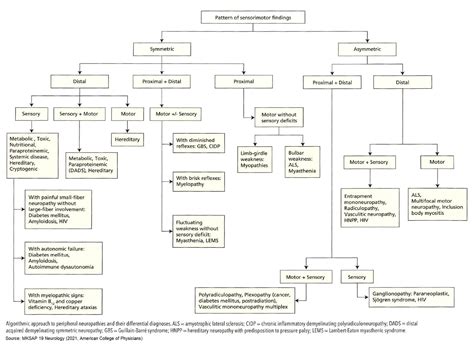 Manual Of Medicine Hemolytic Anemia Differential Diagnosis Anemia Anaemia Hemolyticanemia