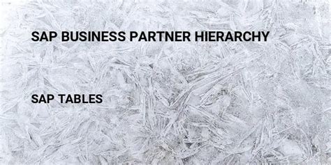 Sap Business Partner Hierarchy Table In Sap