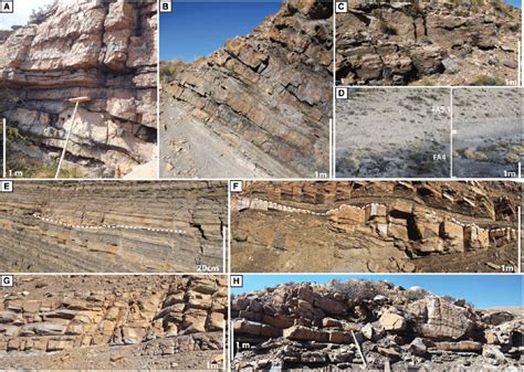 Representative Photographs Of Facies Associations A Facies