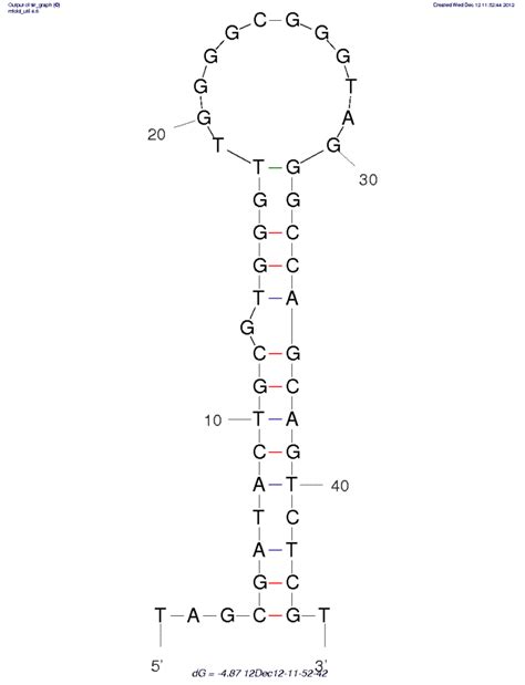 Human Neutrophil Elastase Dna I