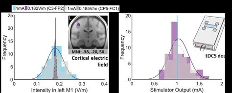 A Distribution Of E Field Intensity Vm In Left M1 Using