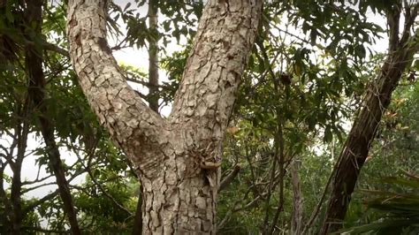 Naked And Afraid S 5 Most Brutal Locations Ever