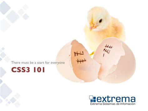 Css3 101 Ppt