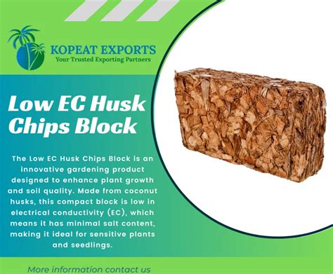 Coco Coir Husk Chips At ₹ 45 Kg Coconut Husk Chips In Dindigul Id 2853804990712