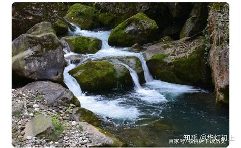 关于泉水的诗 知乎