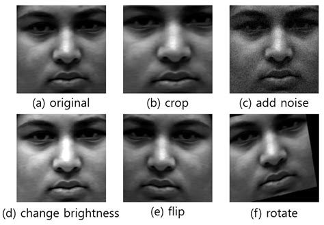 Sensors Free Full Text A Robust Facial Expression Recognition