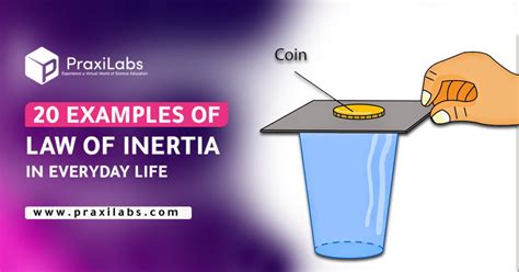 Inertia Examples You Encounter Every Day Inertia Examples You Encounter Every Day