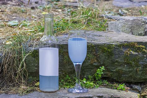 바위에 파란색 칵테일과 와인 잔 이끼 사이 돌 자연에서 알코올 음료와 경치 정물 주류 큐라소 보드카 탄산음료의 블루 라군 0명에