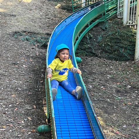 今日は公園へピクニックに出掛けました ブログ 横浜で英語を学ぶなら「blue Sky International」