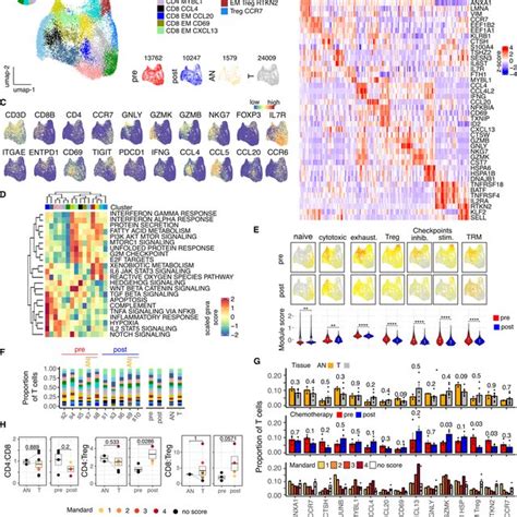 Modulation Of T Cell Contexture Functional Signatures And Key Cell Download Scientific Diagram