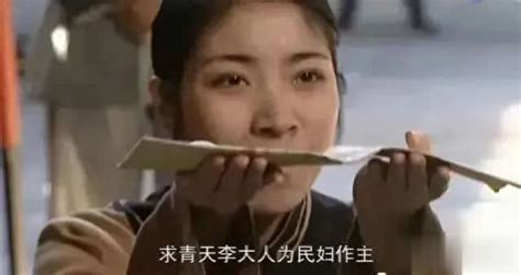 雍正王朝揭秘：刘王氏的申冤胜利背后，竟隐藏着更深层的秘密与冤屈