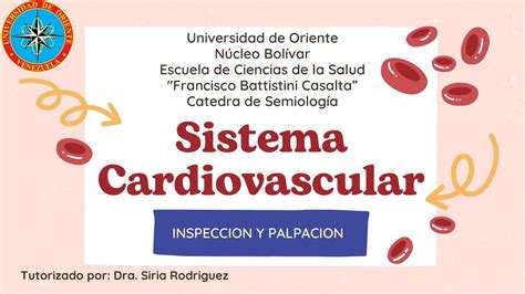 Inspección y Palpación del Sistema Cardiovascular Mariagabriela