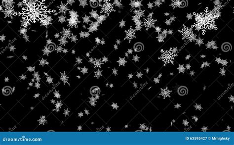 Snowflakes Falling Loop Black Background Stock Footage And Videos 456