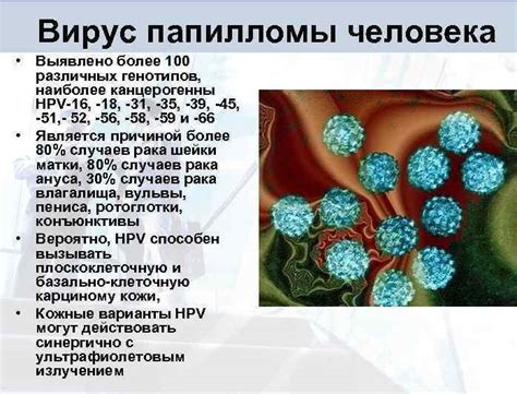 Как выглядит вирус папилломы человека у женщин фото