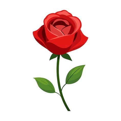 Premium Vector Beautiful Rose Flower Icon Vector Illustration Design