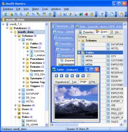 MaxDB GUI Tools MaxDB Database Management Software By SQL Maestro Group