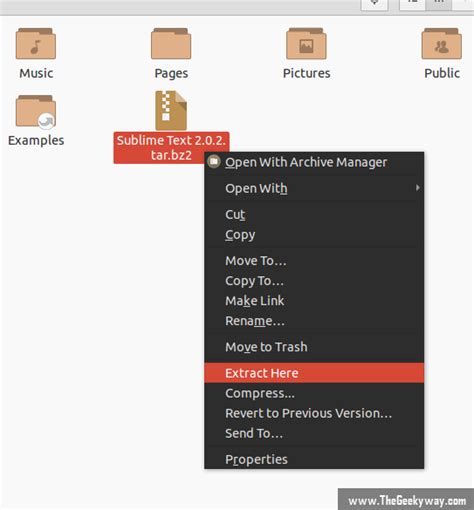 the geeky way how to install sublime text editor in gnu linux