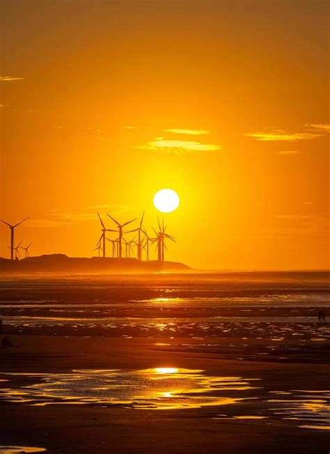 Thistle Wind Partners Eden Scott