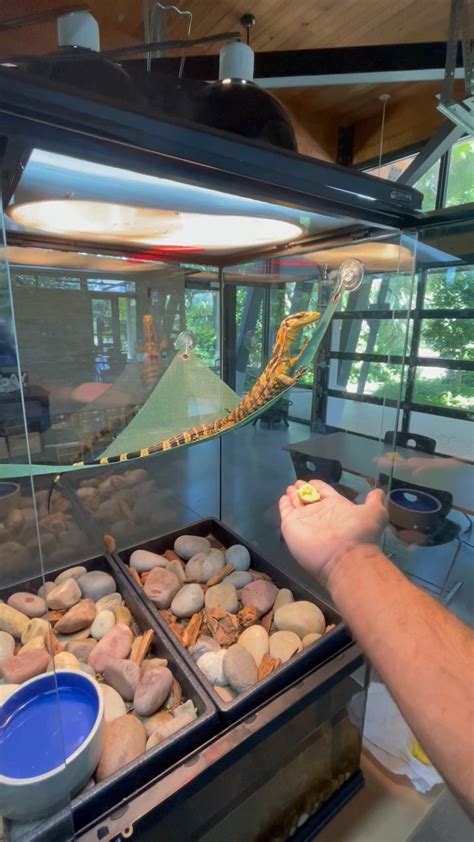 Walker 💛 Instagram