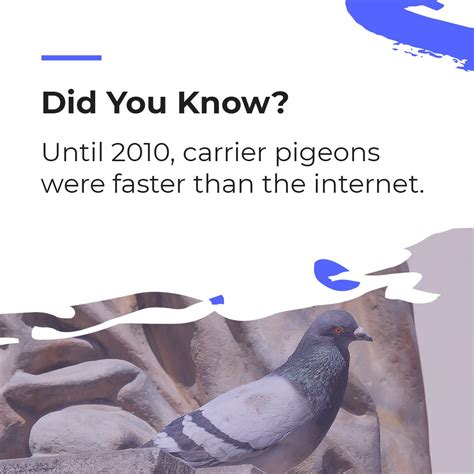 Innovative Web Technologies™ On Linkedin Fact Factoftheday