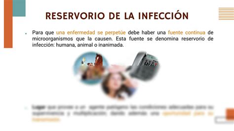 SOLUTION Tema Transmisi N De La Enfermedad Infecciosa Studypool