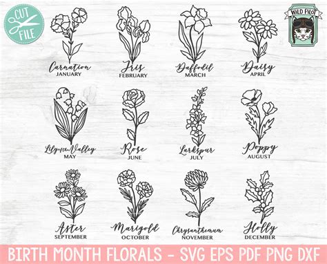 Birth Month Flower Bundle Svg Birth Flowers Svg File Birth Month