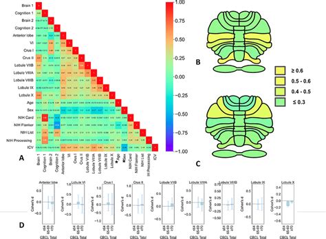 Relationship Of Cerebellar Structure With Cognition And Download