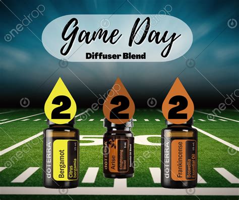 Diffuser Blend Game Day By Christy St Clair