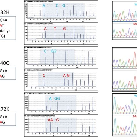 Detection Of Idh Mutations By Dideoxy Sequencing And Pyrosequencing