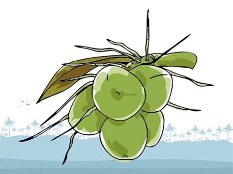 Buy Jivika Naturals Cold Pressed Virgin Coconut Oil Pure Unrefined