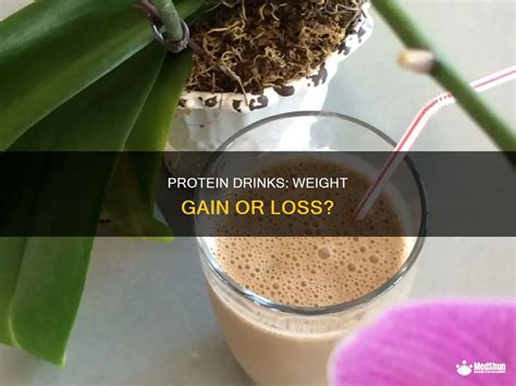 Protein Drinks Weight Gain Or Loss Medshun