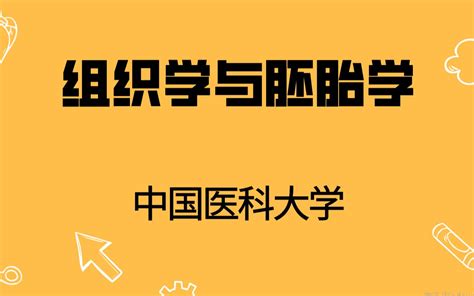 国家精品课程组织学与胚胎学中国医科大学 哔哩哔哩 bilibili
