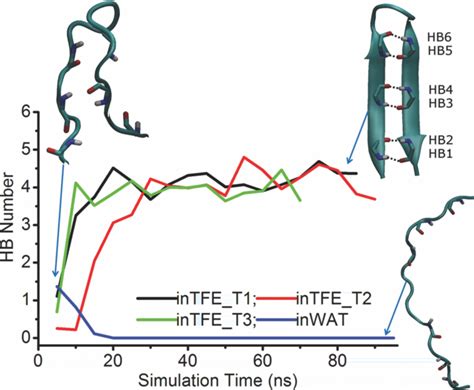 Water Plays An Important Role In Osmolyte Induced Hairpin Structure