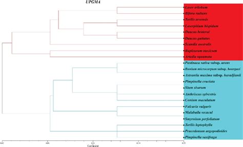 Similarity Distance Dendrogram Of Apiaceae Taxa Download Scientific