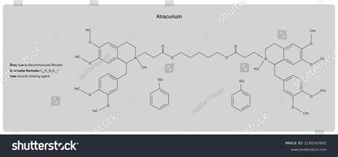 Atracurium Neuromuscular Blocker Chemical Structure Drug Stock Vector