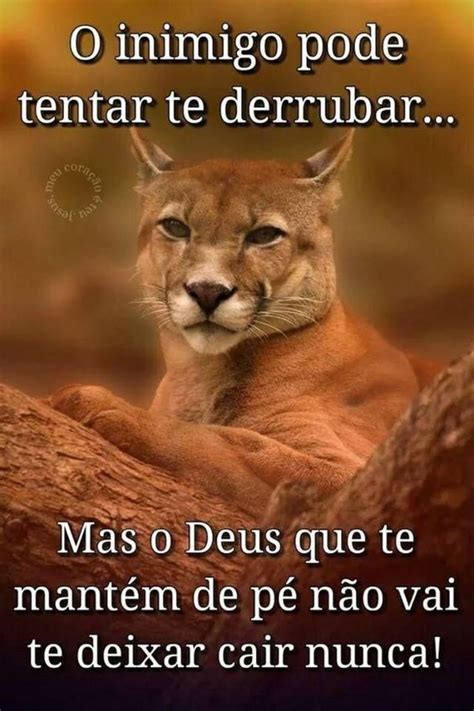 Imagens Frases Bonitas 228 ImagensBomDia Net
