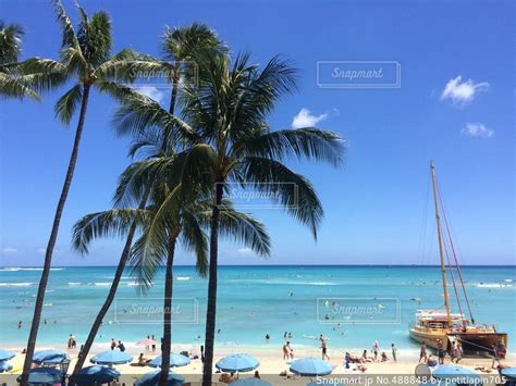 Hawaii Waikiki ハワイ ハワイ旅行 ワイキキ ビーチ 海 常夏 ハワイの海 夏の写真・画像素材 488848